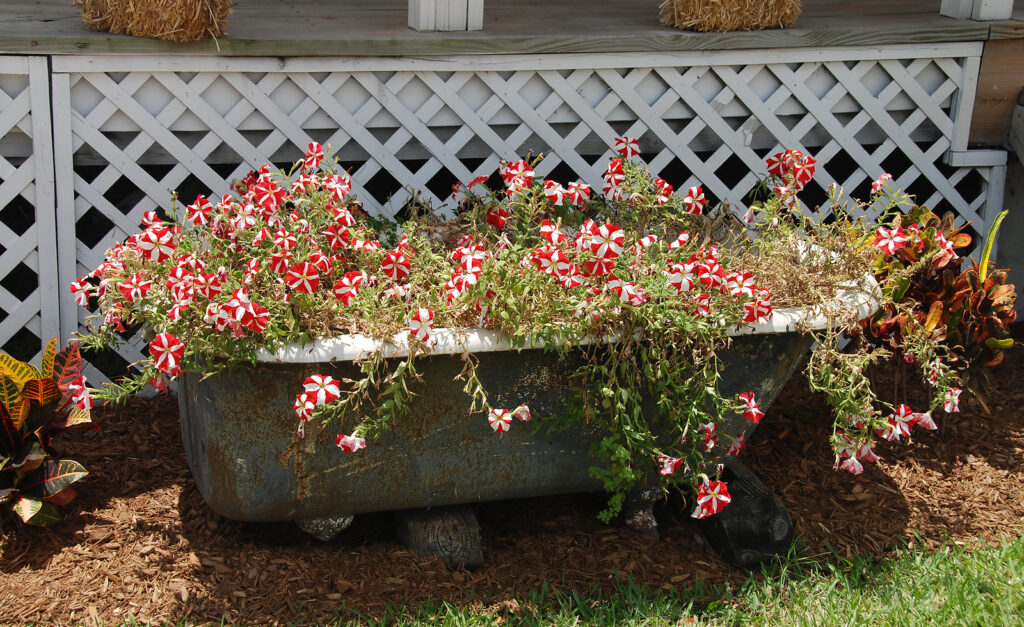 Rain Harvesting System What You Need To Know My Rain Rain Harvesting System What You Need To Know My Rain